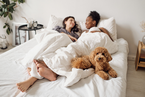Ruff, Ruff: The Lowdown On Fido In Bed